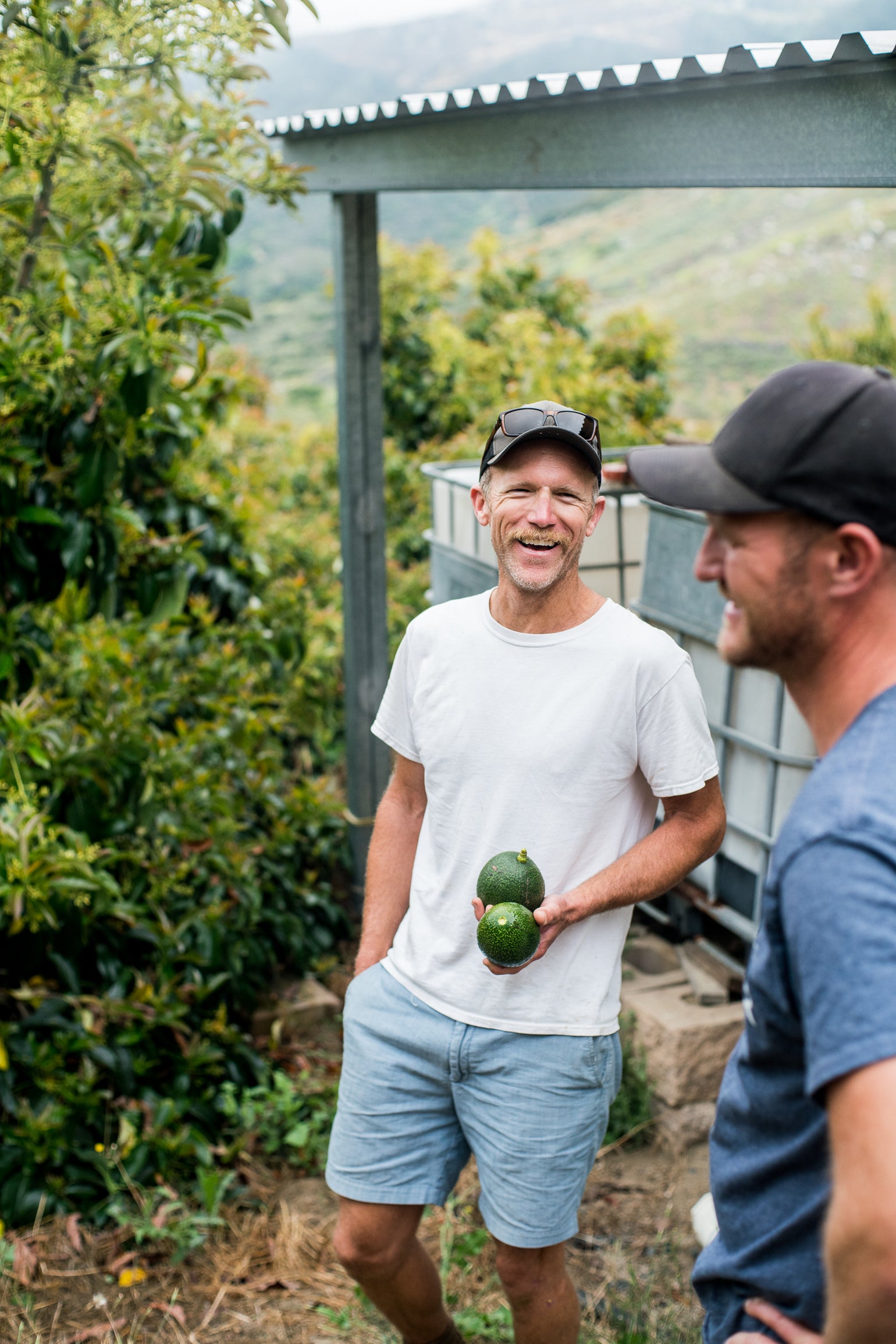 Our Story – Dickinson Family Farms