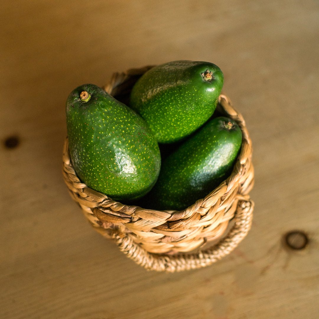 Organic Avocado Box – Dickinson Family Farms